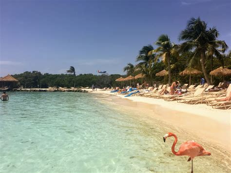 12 Best Aruba Beaches For Splashing And Sunning Shebuystravel