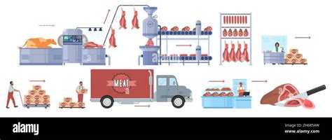 Beef Distribution At Augusta Berkeley Blog