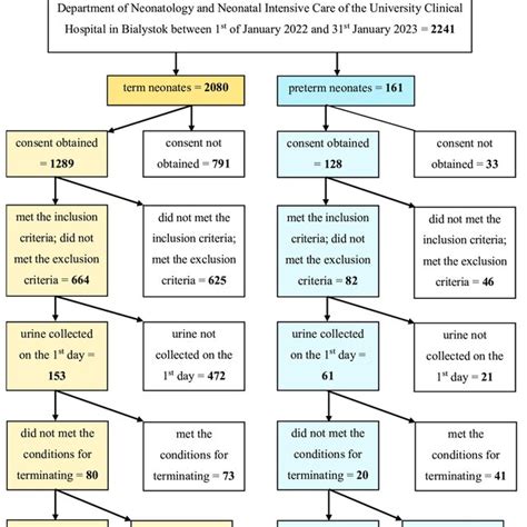 Schematic Diagram Of Cell Signaling Mediated By Tff 3 The Receptors Download Scientific