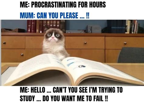 Procrastination Meme Check Out These 20 Hilarious Procrastination