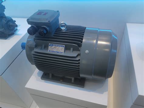 Extb Iiict Ie3 Efficiency Dust Explosion Proof Three Phase Asynchronous