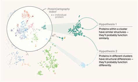 A Strategy To Validate Protein Function Predictions In Vitro · Arcadia