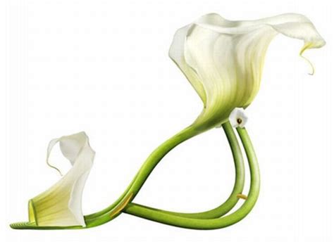 Shoes The Strange And Unusual Hubpages