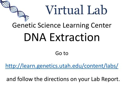 Virtual Lab Dna Extraction Ppt Download Db Excel Com