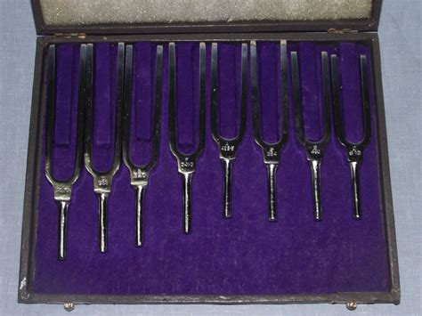 Stainless Steel Tuning Fork For Laboratory Industrail At Best Price