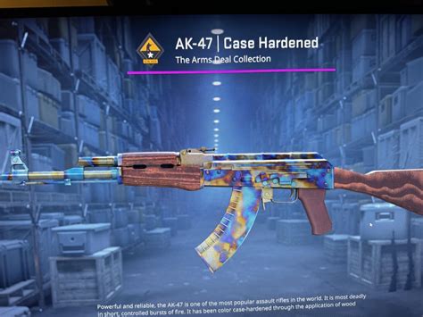 Skin Price Check Rohnepixel