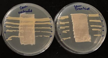 Antimicrobial Textiles Testing Emery Pharma