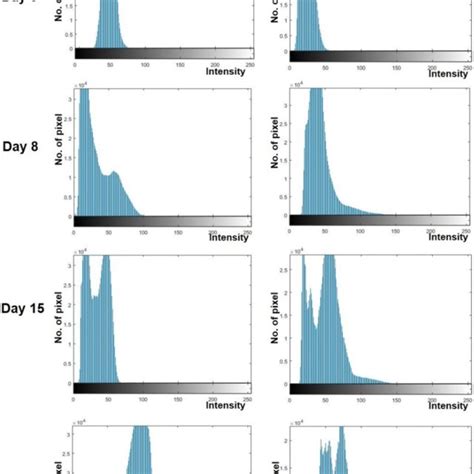 The Schematic Diagram Of Laser Light Backscattering Imaging System
