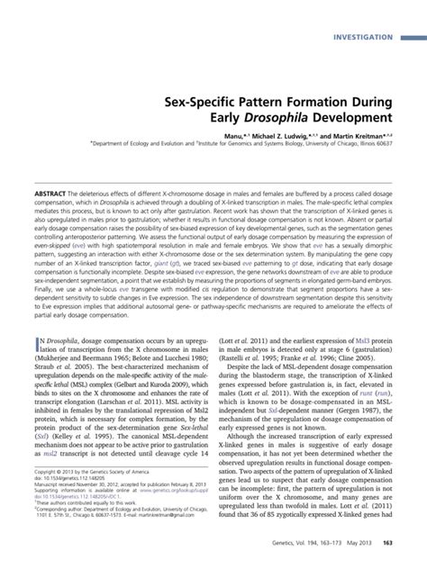 Sex Speci Fic Pattern Formation During Early Drosophila Development