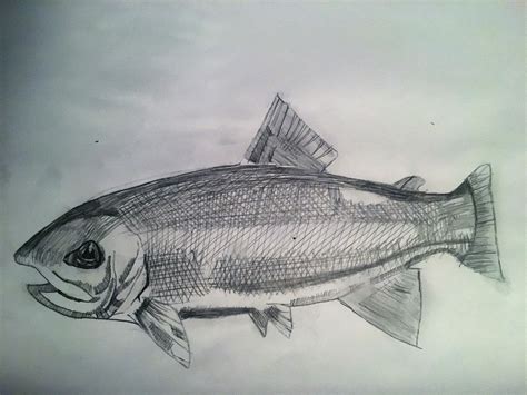 Ms Oshiros Class Cross Hatching