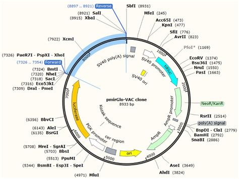 Figure 7 From Implementation Of Immuno Chemoinformatics Approaches To