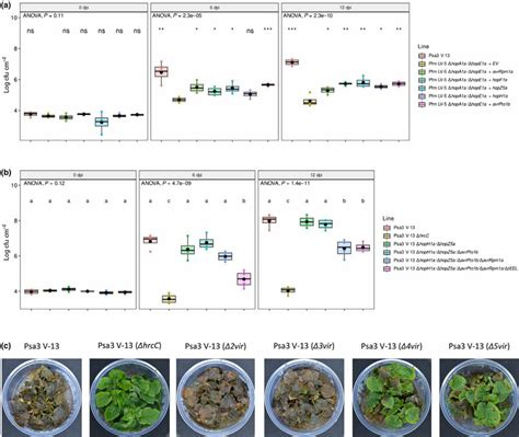 Five Pseudomonas Syringae Pv Actinidiae Biovar 3 Psa3 V 13 Effectors Download Scientific
