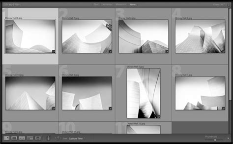 How To Apply A Develop Preset Automatically When You Import Your Images Lightroom Killer Tips