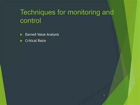 160155061 Project Monitoring Control PPT
