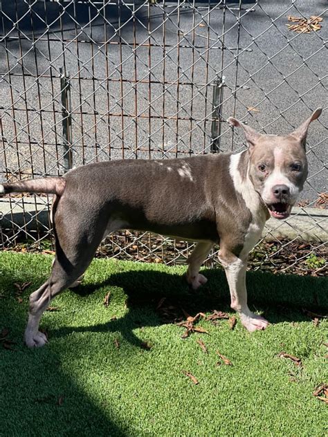 Sequoyah Animal Hospital Added Sequoyah Animal Hospital