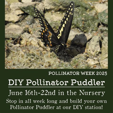 Laurens Garden Service Pollinator Week 2025 Landscape Design