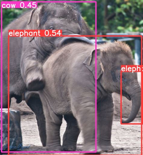 Why The Detect Result Of Pytorch Model Is Different From Onnx Model？it Seems Different Deep
