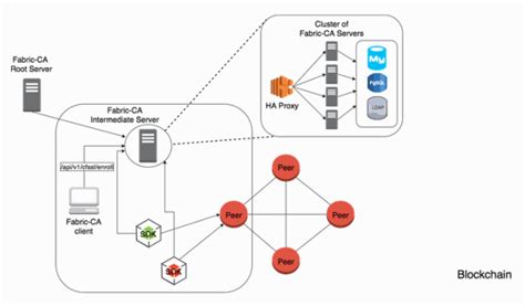 Fabric Ca Root Server And Intermediate Server Stack Overflow