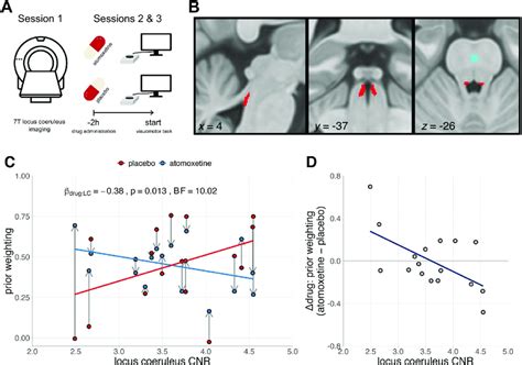 Baseline Dependent Effects Of Noradrenaline On Prior Weighting A Download Scientific Diagram