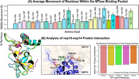 Protein Conformation And Interaction Dynamics From Molecular Download Scientific Diagram