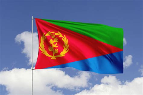 Population Dynamics And Eritreas Demographic Profile