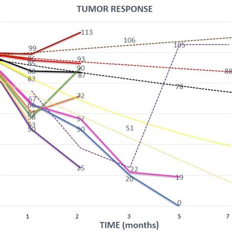 Tumor Response This Graph Shows The Tumor Response To Partial Download Scientific Diagram