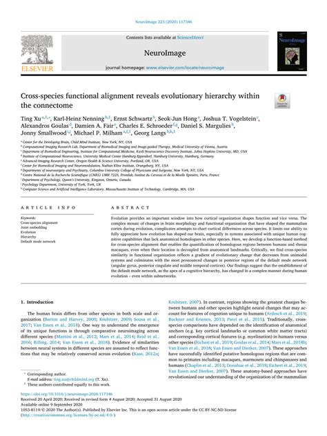 Pdf Cross Species Functional Alignment Reveals Evolutionary Hierarchy Within The Connectome