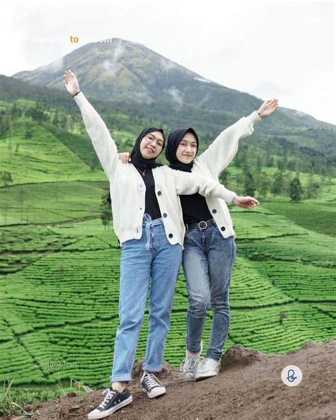 Gunung Cilik Kaliurip Wonosobo Hamparan Perkebunan Teh Yang Menyejukkan Mata Bookingtogo