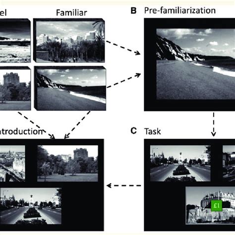 Reward Prediction Error Base Brain Regions Significantly Download Scientific Diagram