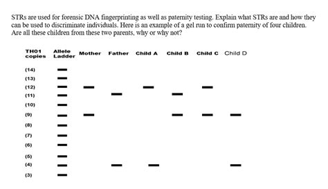 Solved STRs Are Used For Forensic DNA Fingerprinting As Well Chegg Com
