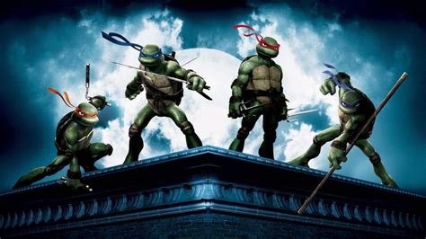 კუ ნინძები ქართულად Tmnt Qartulad Mykadri Tv
