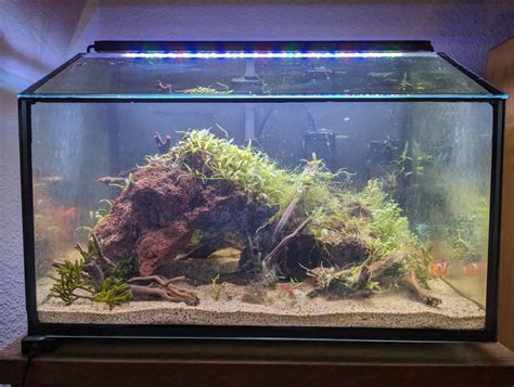 Build Thread Freshwater Meets Saltwater Experimental Macroalgae Tank Reef2reef