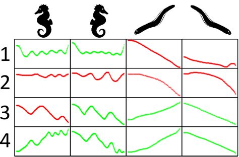 the evolution of signals over generations for different pairs of