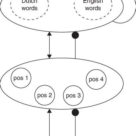 1 The Revised Hierarchical Model Source Adapted From Kroll And