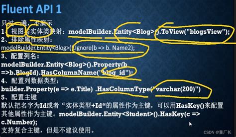 Ef Core学习笔记：配置的方式 特性fluent Apief 8 Hascomment Csdn博客