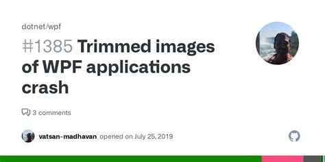 Trimmed Images Of WPF Applications Crash Issue Dotnet Wpf GitHub
