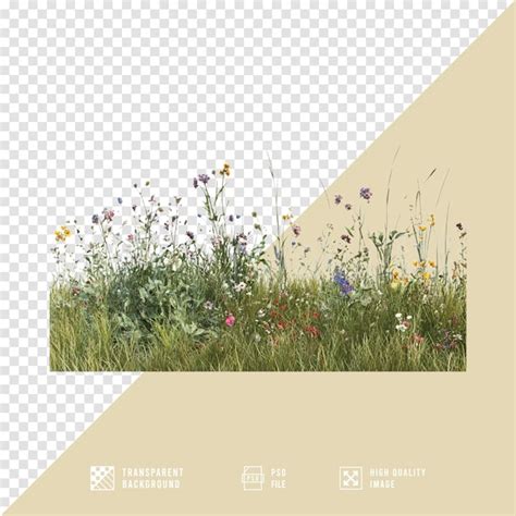 Grass Image Without Background Hd Quality Premium Ai Generated Psd