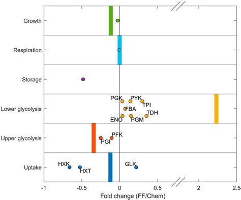 Frontiers Predicting Metabolic Adaptation Under Dynamic Substrate Conditions Using A Resource