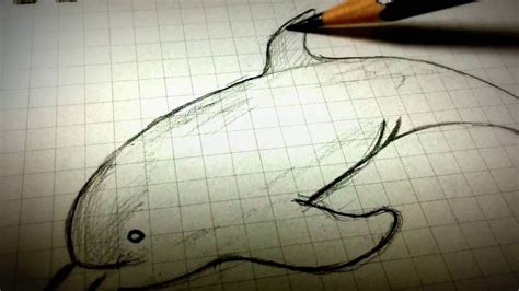 초보 그림 잘 그리는 방법 크로키 돌고래 그림 명암넣기 Youtube