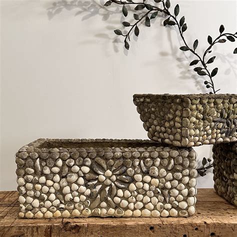 Shell Planters Objet Vagabond Shell Planters Objet Vagabond