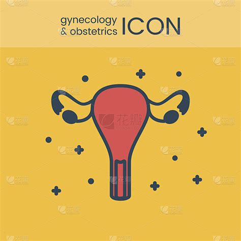 妇科图标