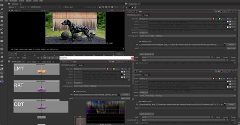 Vfx Correct Transform VFX Community ACESCentral
