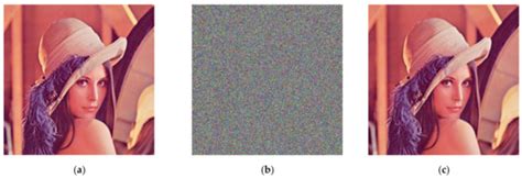 entropy free full text plaintext related dynamic key chaotic image