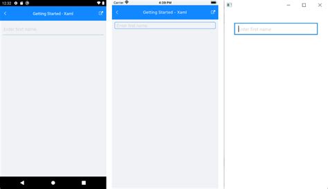 Entry Ui For Net Maui Components Telerik