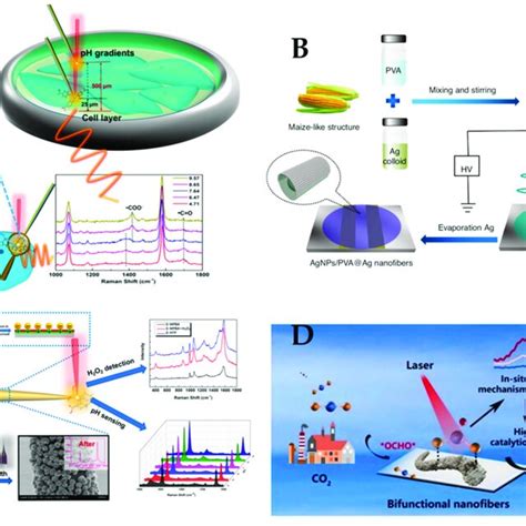 Comparison Of Different Types Of Nanofiber Fluorescence Sensors