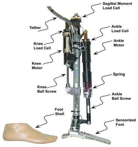 Real Time Gait Mode Intent Recognition Of A Powered Knee And Ankle