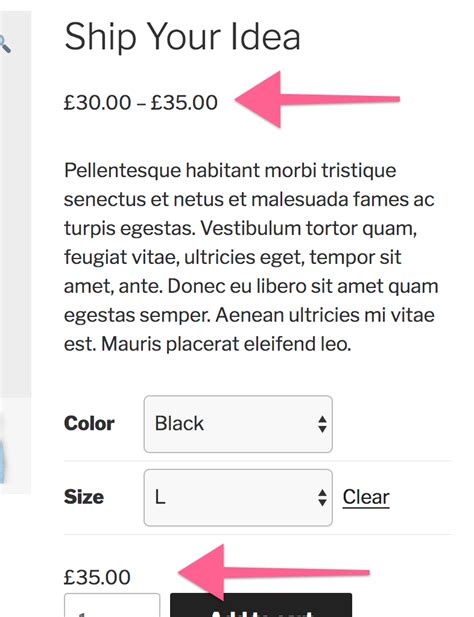 woocommerce variable product price not showing · issue 16859