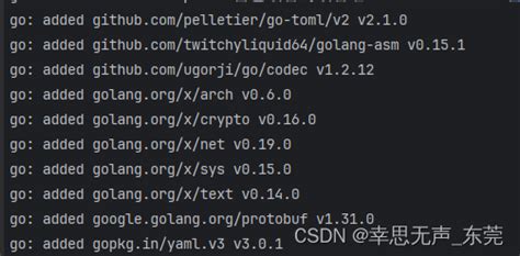 GOLAND搭建GIN框架以及基础框架搭建 goland gin CSDN博客