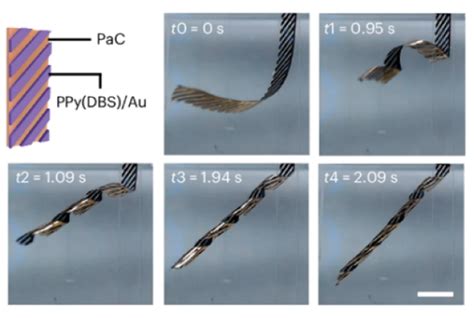 A New System For Creating Neural Interfaces — Unibomagazine